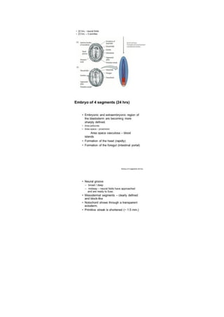 Module-6-Gastrulation-and-Neurulation.pdf