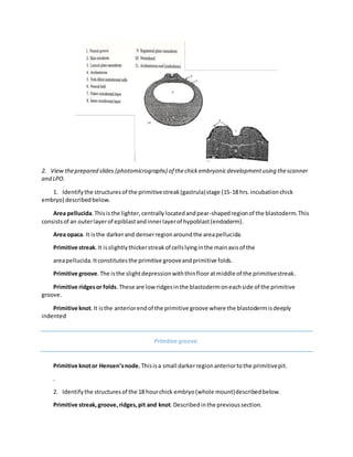 Module-6-Gastrulation-and-Neurulation.pdf