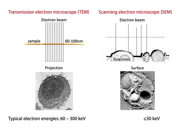 Module-6 - Spectroscopic and Diffraction Techniques-Loganathan.pptx