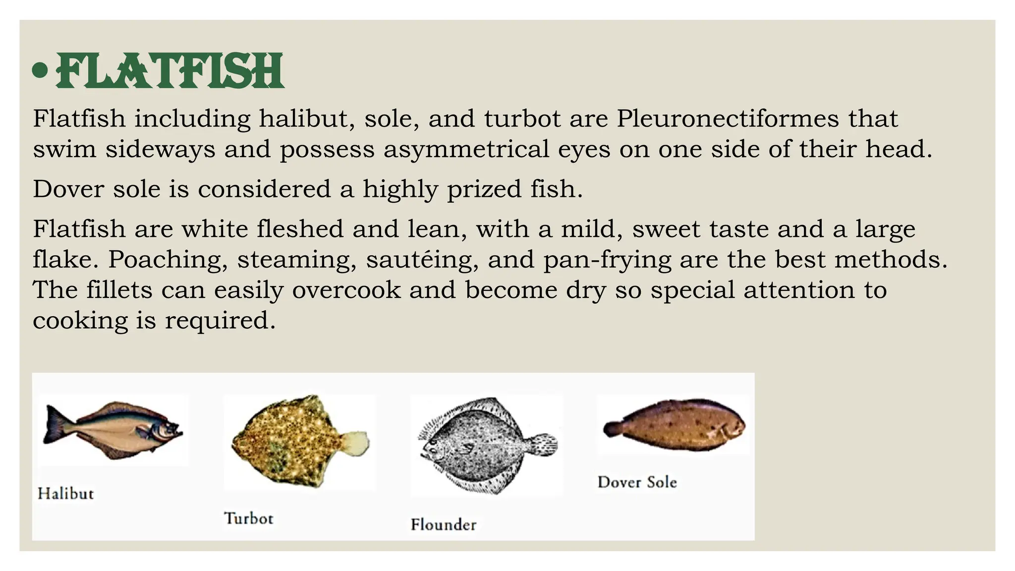 MODULE-9.pptx fish and shellfish module 9 | PPTX