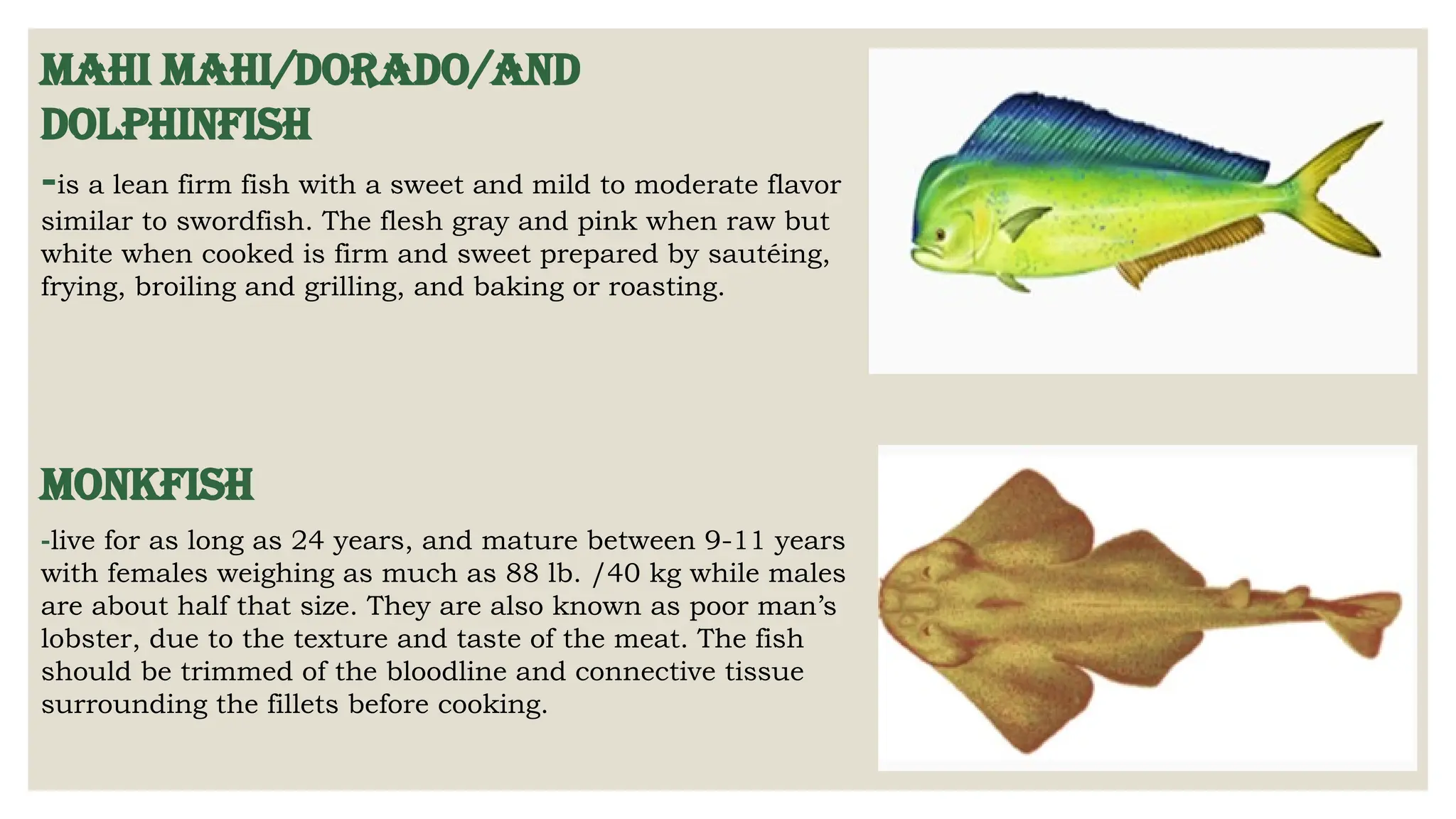 MODULE-9.pptx fish and shellfish module 9 | PPTX