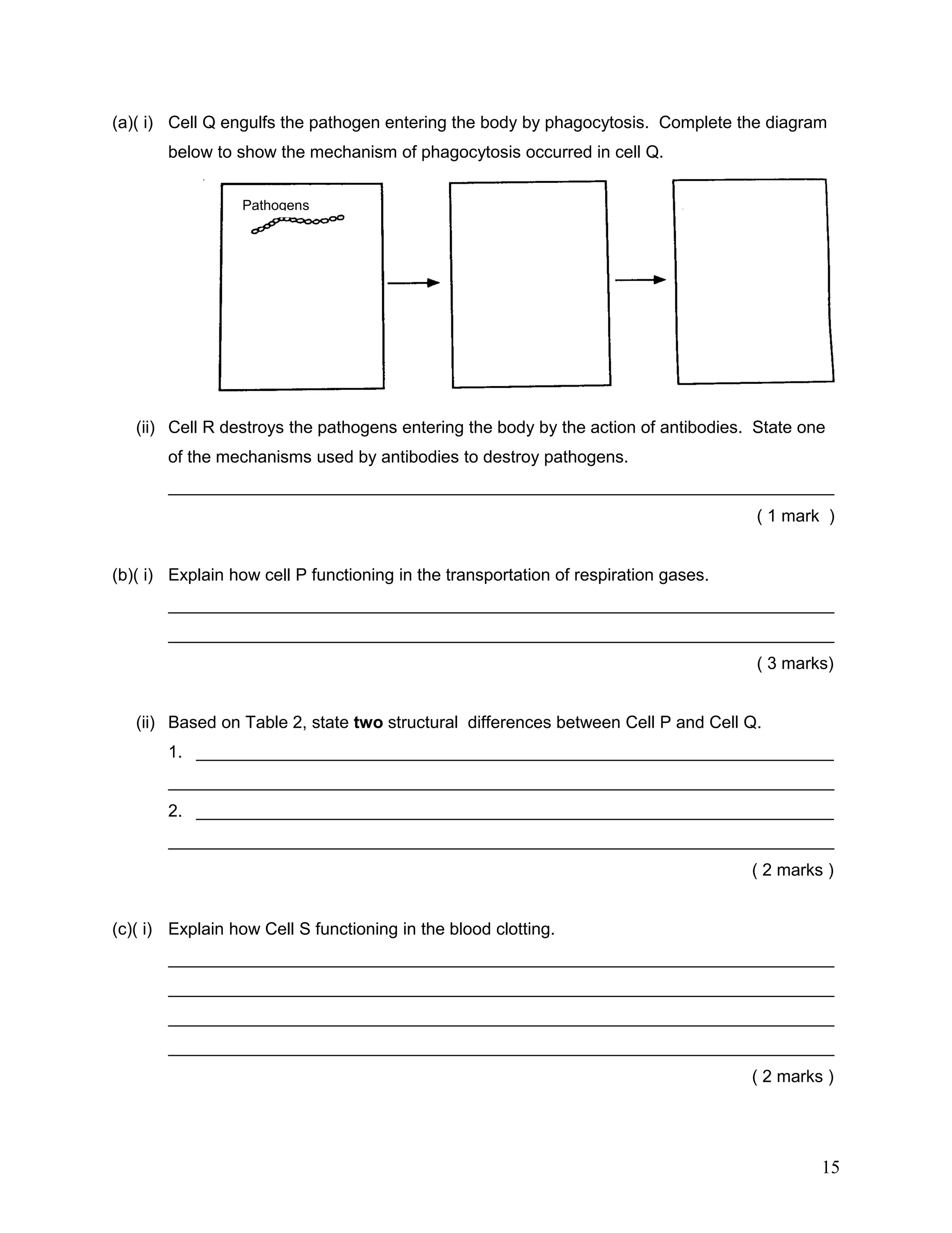 Module question-chapter-transport | PDF