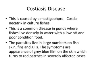 Module-V- Fish n shellfish -23.5.22.pptx