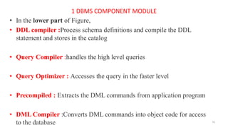 Introduction to DBMS.pptx