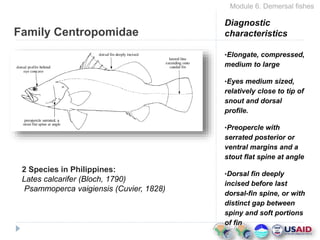 Module 06 - Common demersal fish species-rev.ppt