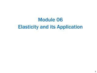 Module 06--Elasticity and its Application.pdf