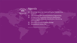 Guidelines for Integrating Gender-based Violence in Interventions in ...