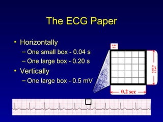 ECG PART 1 | PPT