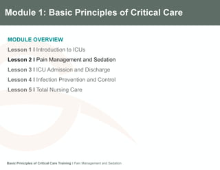 Module 1.2 Pain Management & Sedation | PPTX
