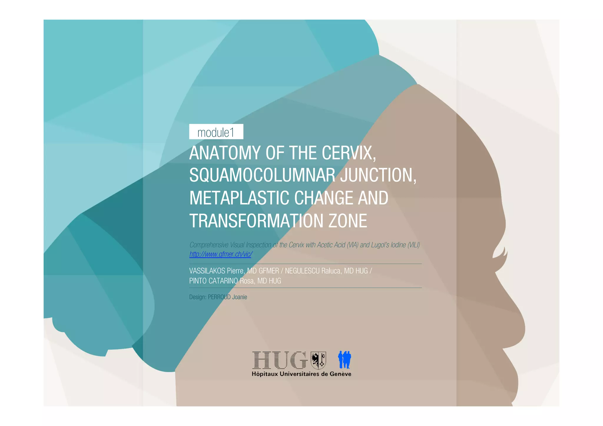 anatomy of transformation zone.pdf
