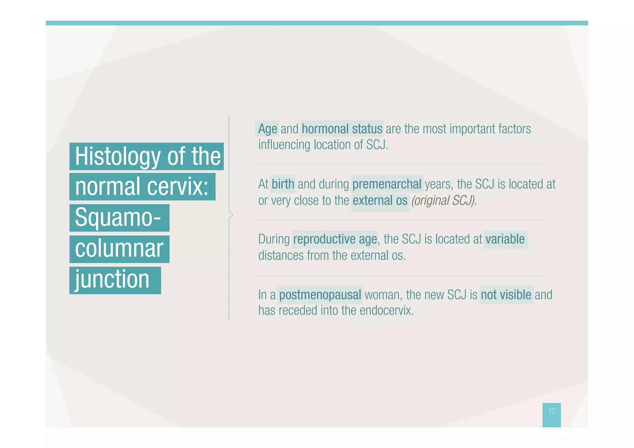 anatomy of transformation zone.pdf | Reproductive Health | Diseases and ...