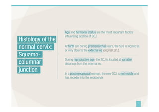 anatomy of transformation zone.pdf