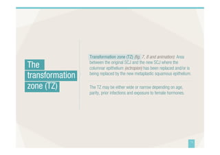 anatomy of transformation zone.pdf | Reproductive Health | Diseases and ...