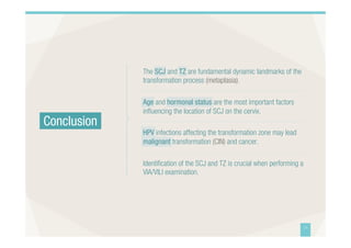 anatomy of transformation zone.pdf | Reproductive Health | Diseases and ...