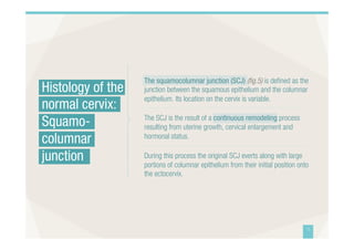 anatomy of transformation zone.pdf
