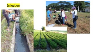 Module 1. Fundamentals of Agricultural Engineering.pptx