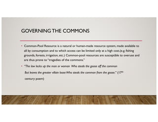 Module1.4 GovernanceTheory.pdf