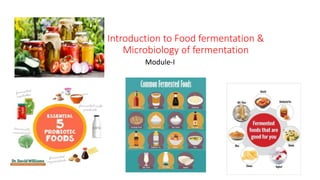 Fermented food products diary, vegetable and meat | PPTX