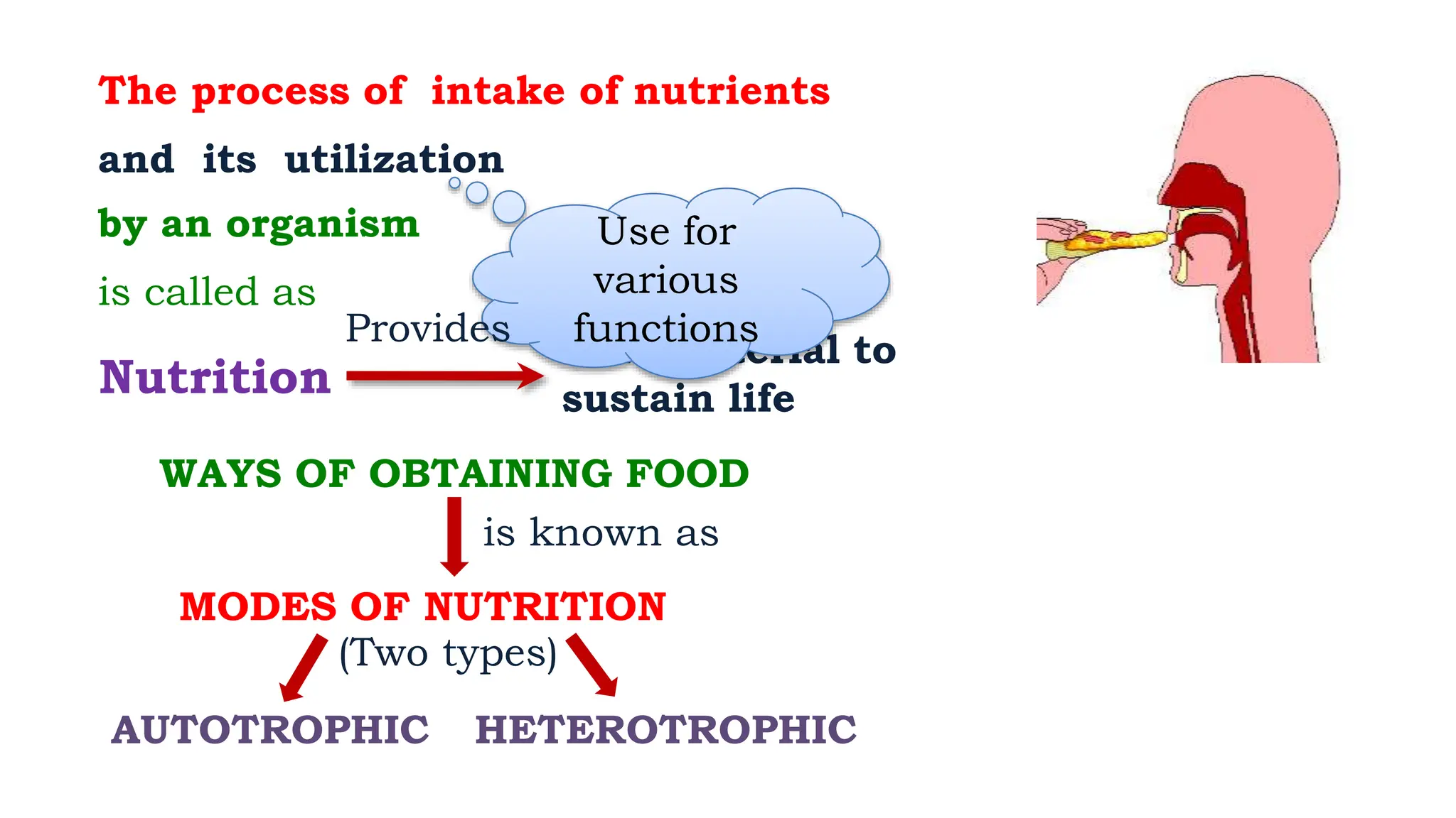 Module_1.In autotrophic nutrition ORGANISM | PPTX