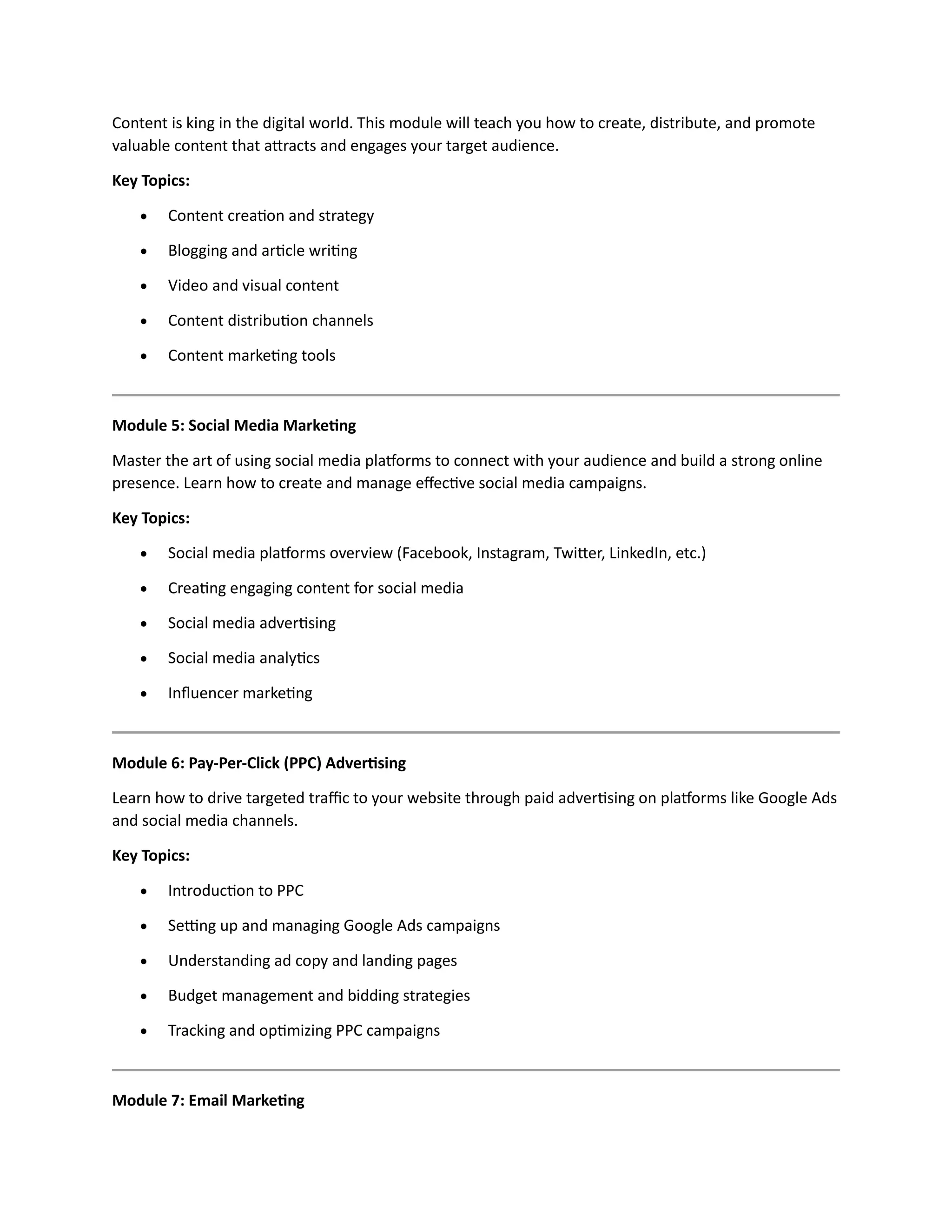 DIGITAL MARKETING FULL NOTES 2024.FREE PDF | PDF