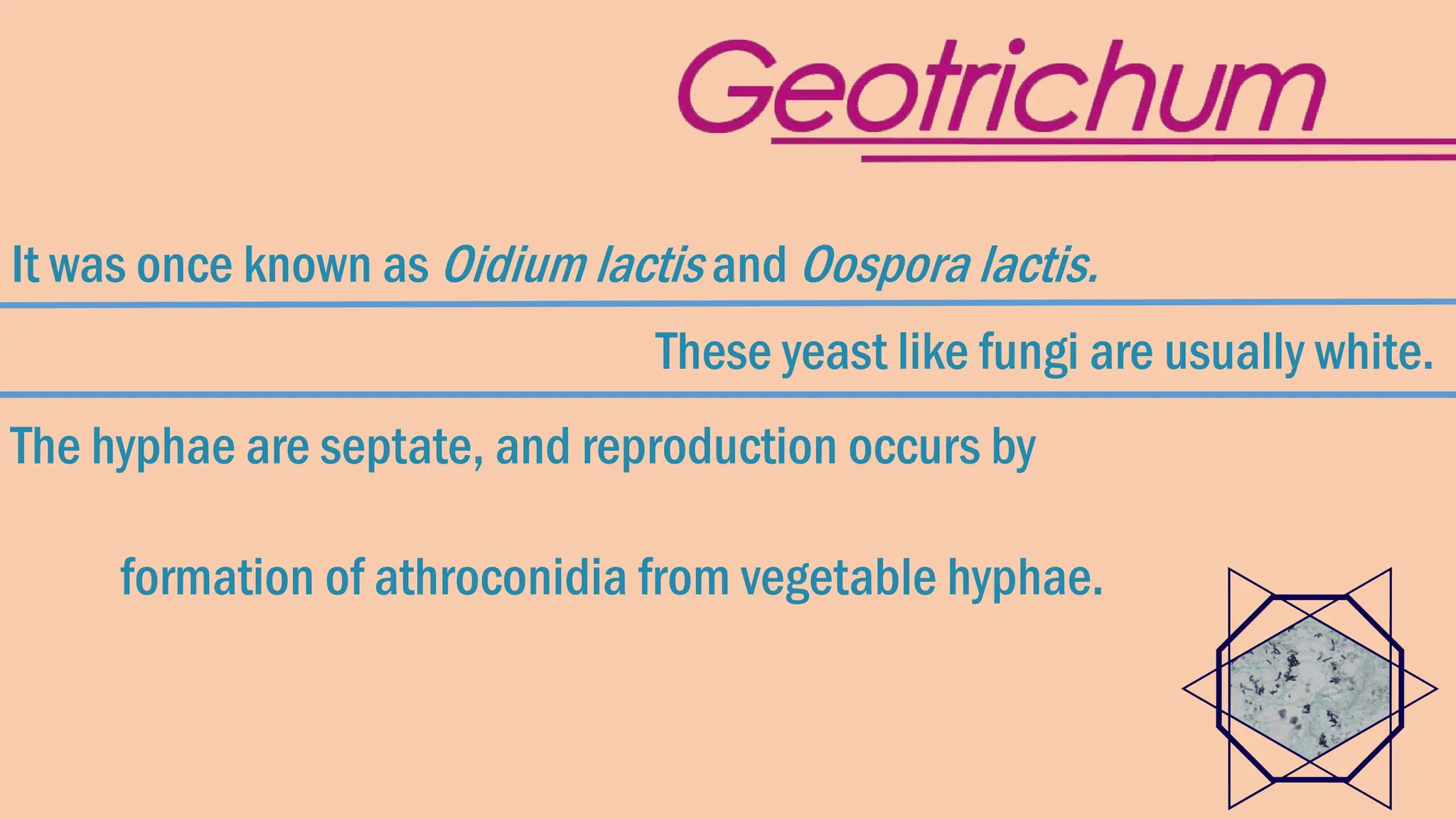 Food microbiology module 1: important microorganism in food | PDF