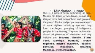 Module 1.1 Indigenous Groups in the Philippines.pptx