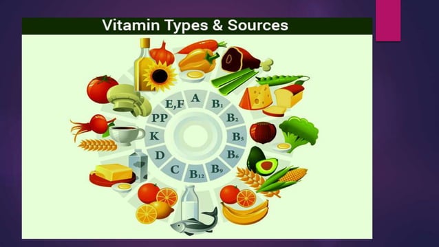 BTHM Module 1 basics of food production theory | PPTX | Nutrition ...