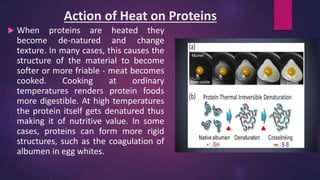 BTHM Module 1 basics of food production theory | PPTX
