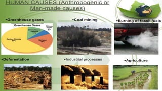 MODULE 1-ENV STUDIES.pptx