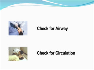 Module 1 Guidelines In Giving Emergency Care | PPT