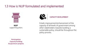 Introducing NUP | PPTX