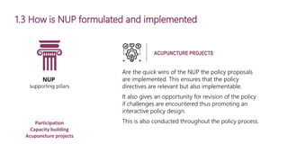 Introducing NUP | PPTX