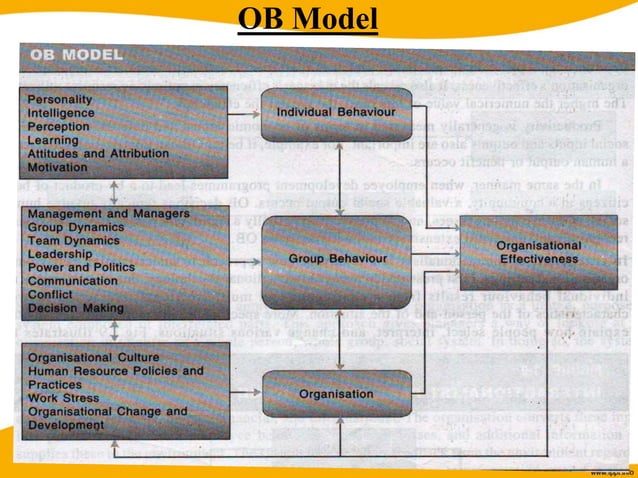 Organisational Behaviour.ppt