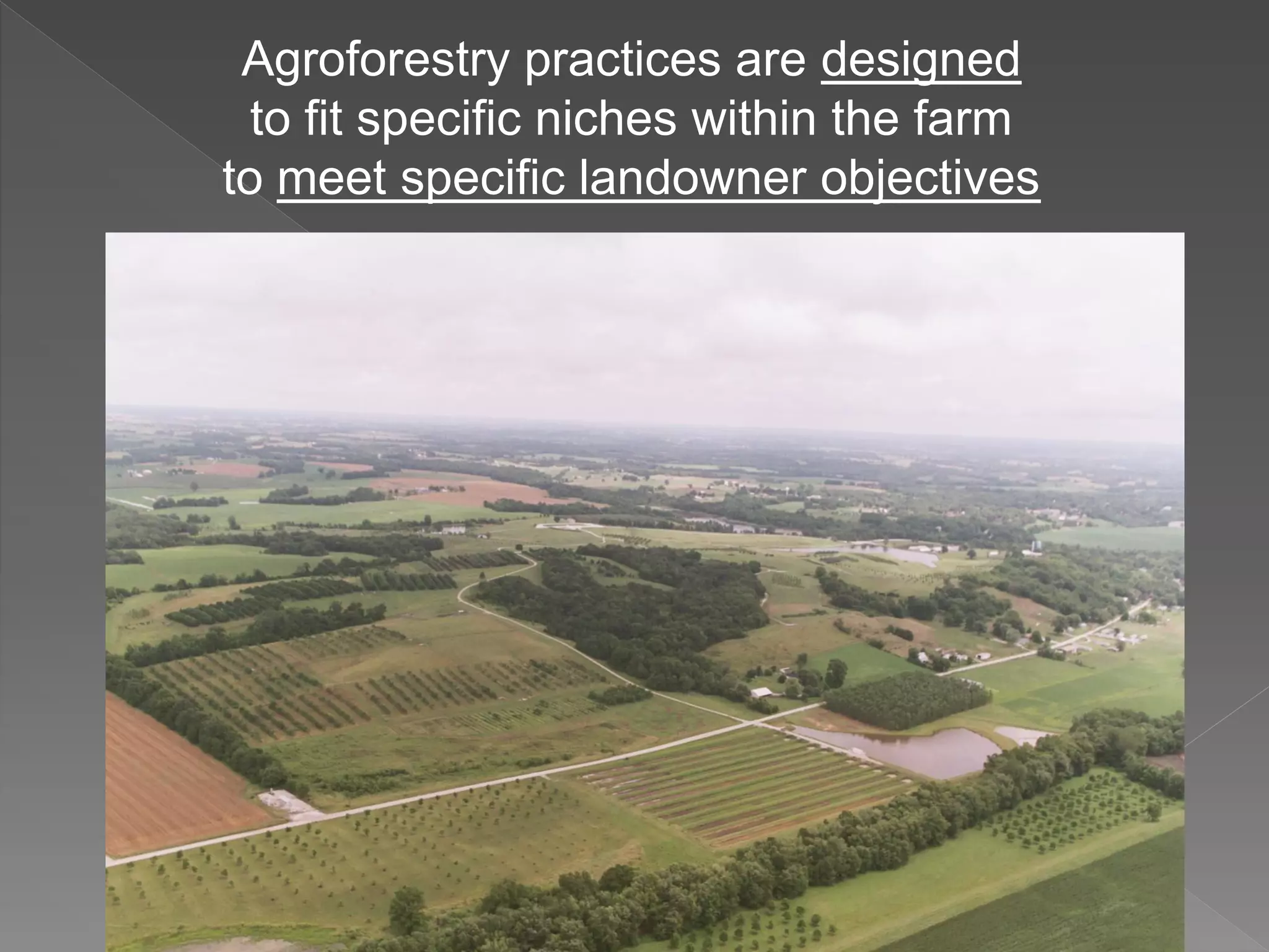 Module 1 Overview Of Agroforestry Powerpoint Presentation | PDF