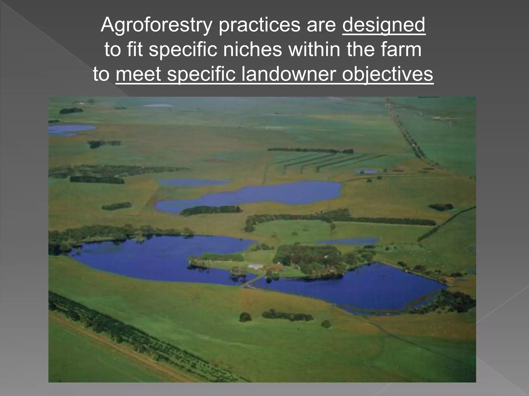 Module 1 Overview Of Agroforestry Powerpoint Presentation | PDF