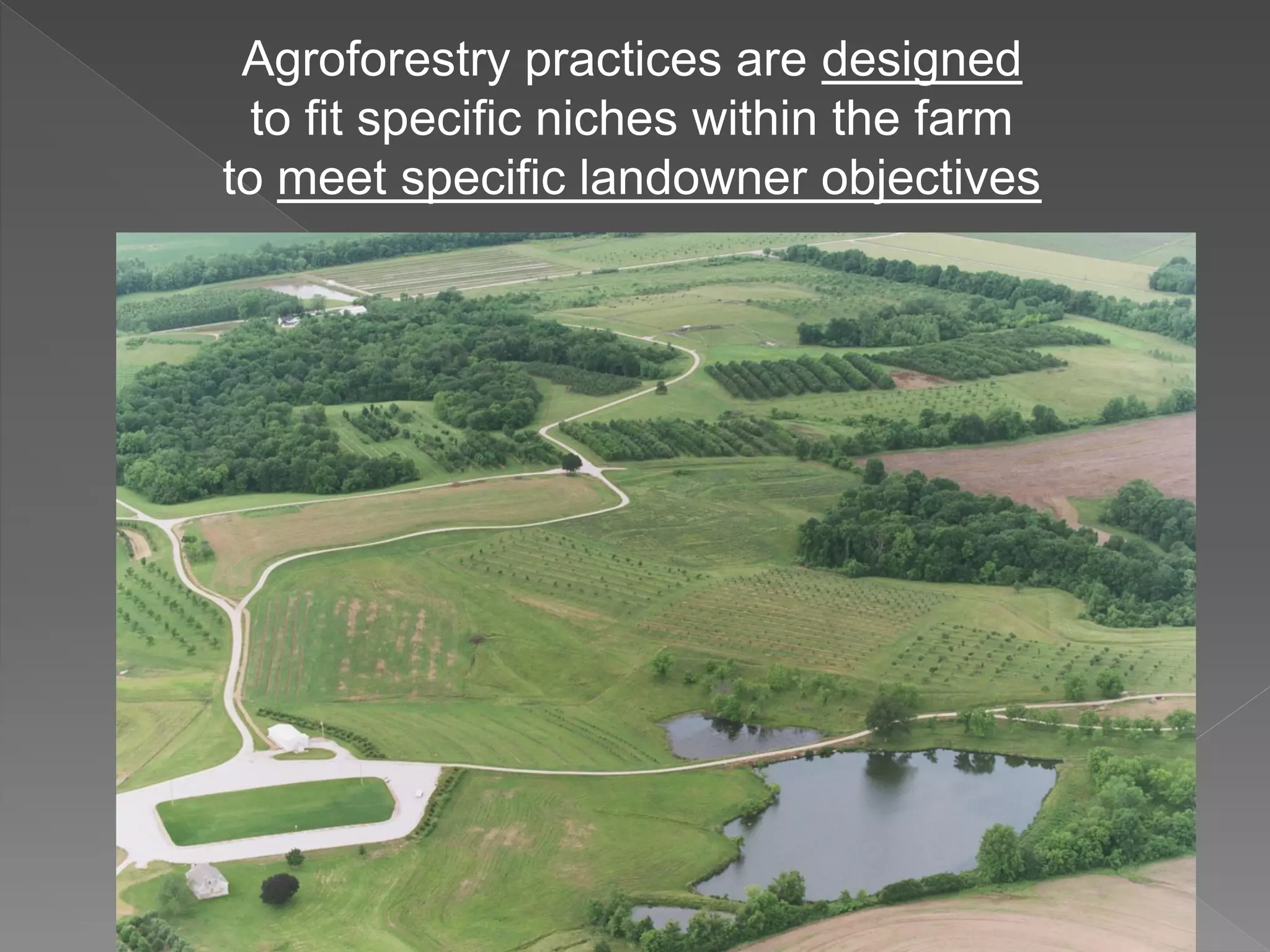 Module 1 Overview Of Agroforestry Powerpoint Presentation | PDF