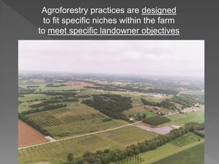 Module 1 Overview Of Agroforestry Powerpoint Presentation | PDF