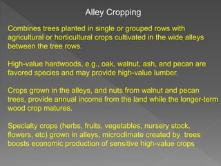 Module 1 Overview Of Agroforestry Powerpoint Presentation | PDF