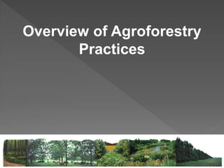 Module 1 Overview Of Agroforestry Powerpoint Presentation | PDF