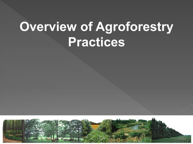 Module 1 Overview Of Agroforestry Powerpoint Presentation | PDF