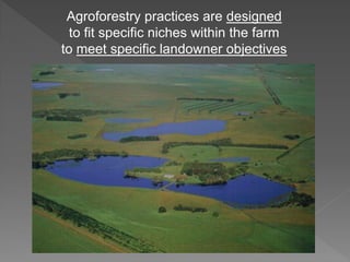 Module 1 Overview Of Agroforestry Powerpoint Presentation | PDF