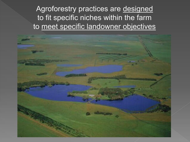 Module 1 Overview Of Agroforestry Powerpoint Presentation | PDF