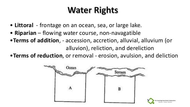 Module 1 - Property, Property Rights, Ownership, Condos