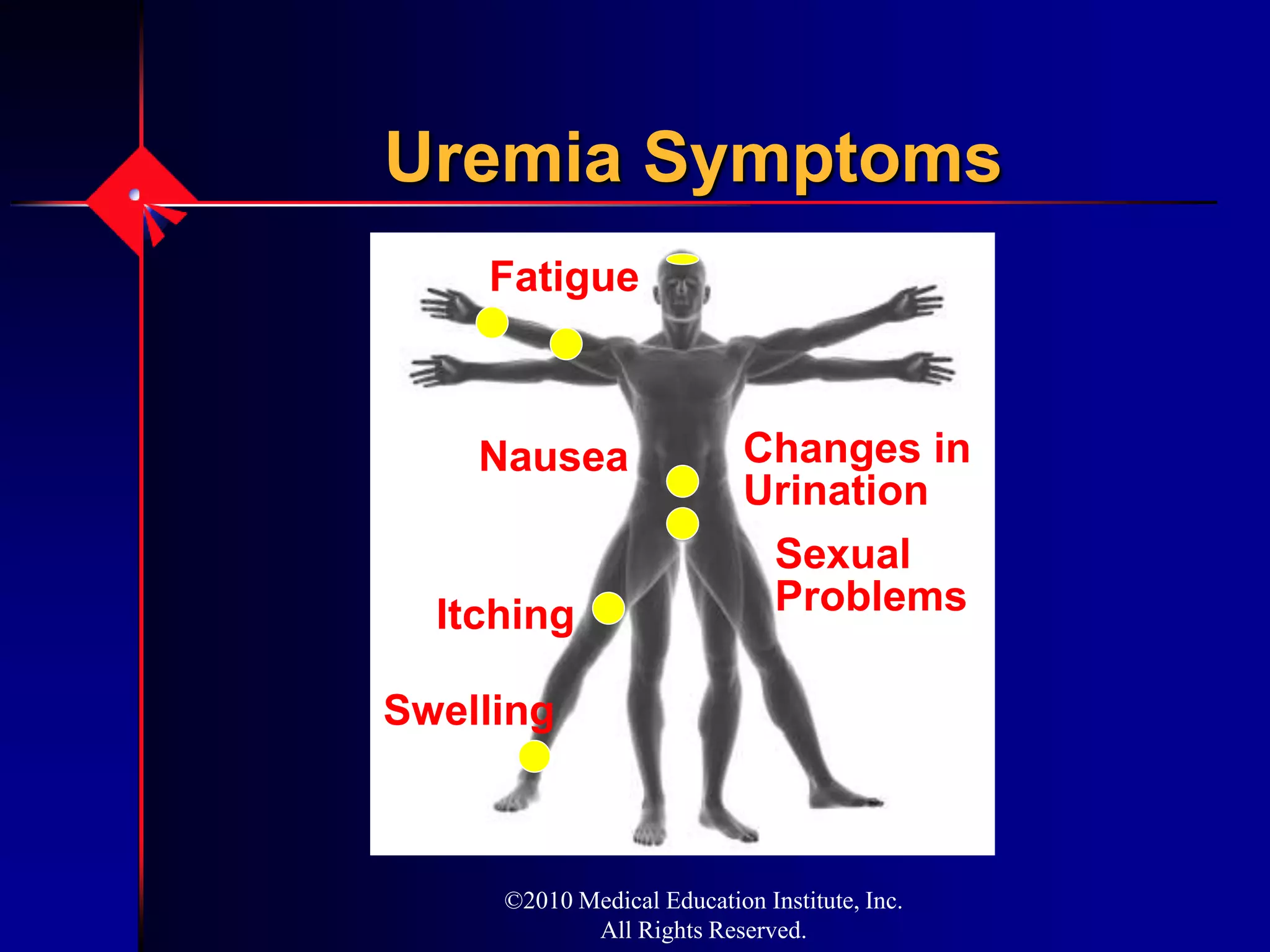 Module 1 - Understanding the Person with Kidney Failure (1).pptx