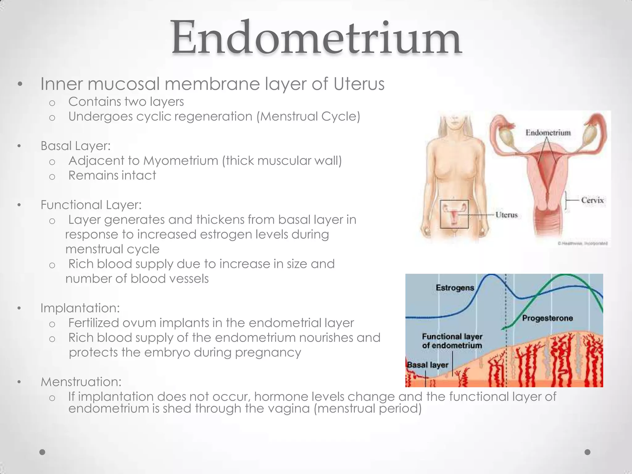 Module 10: Reproductive System | PPTX