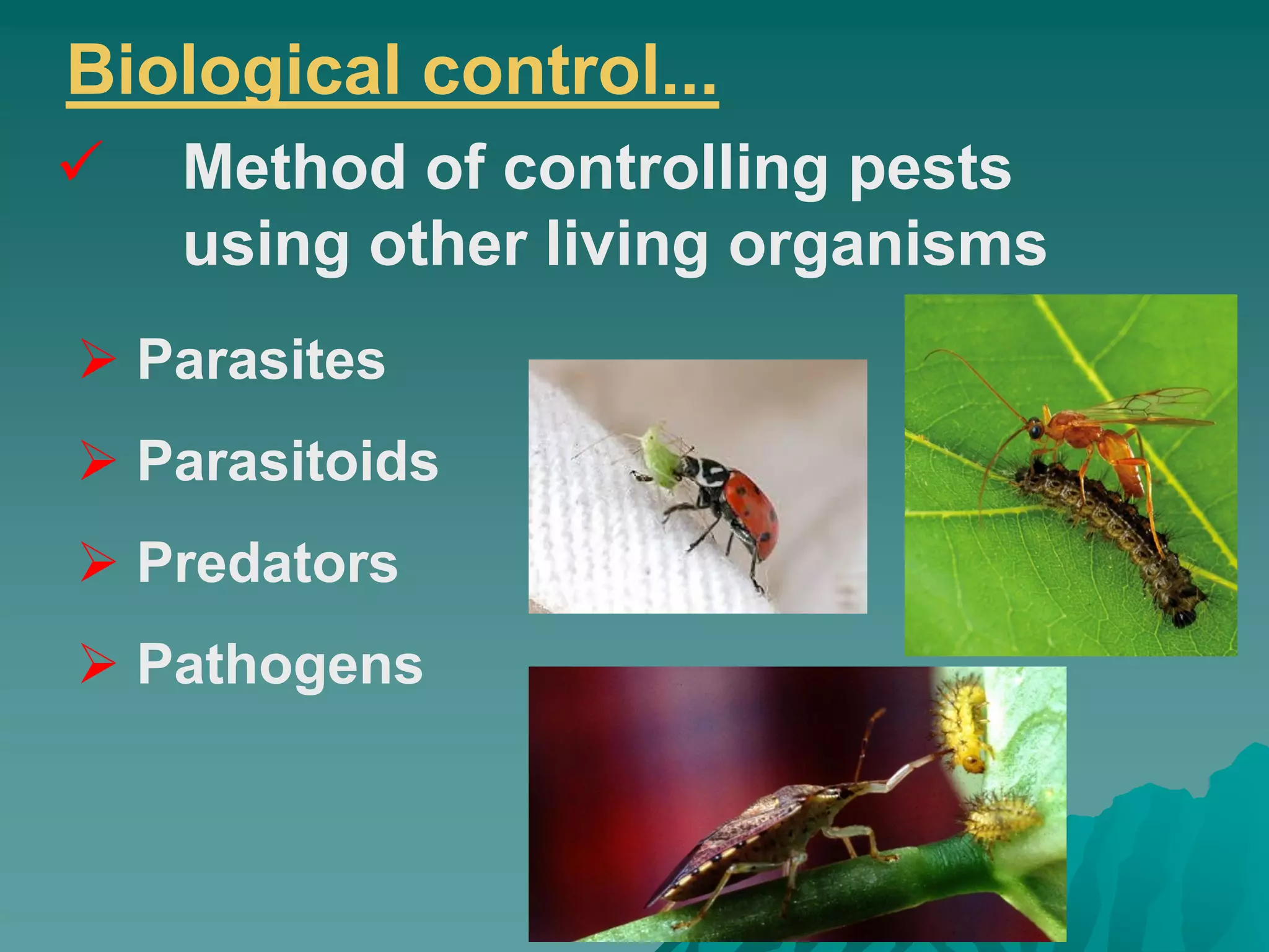 management of insect pest | PDF