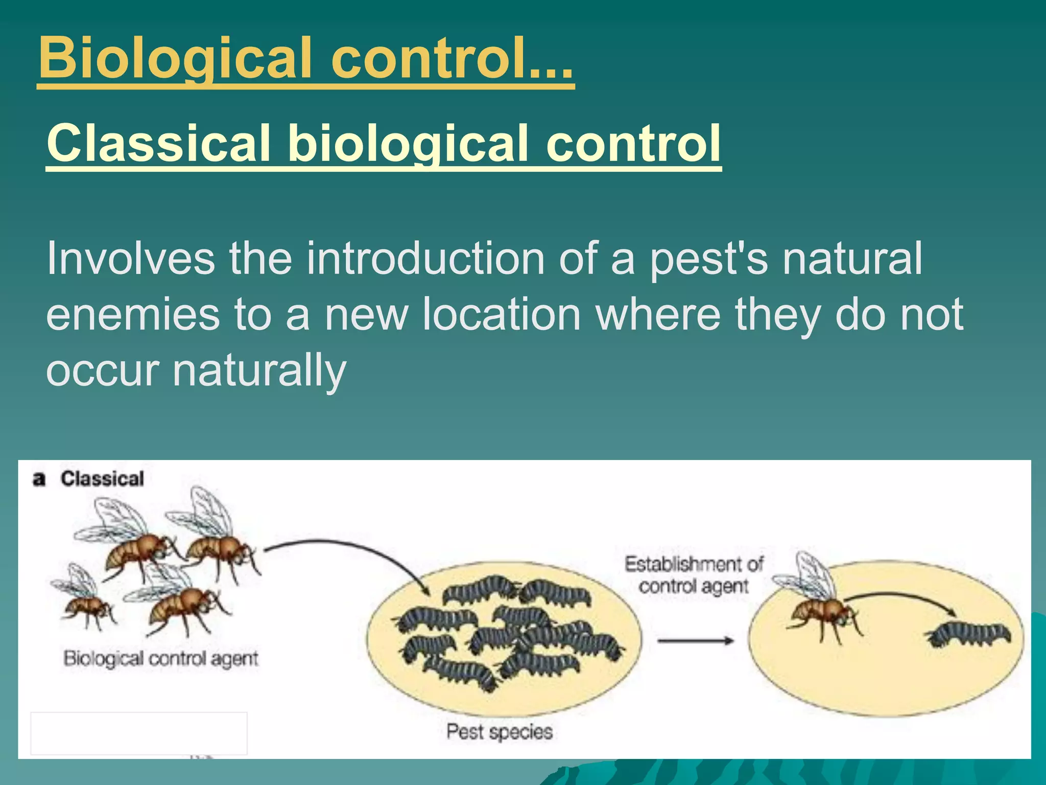 management of insect pest | PDF