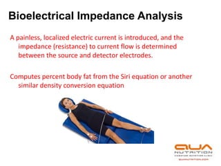 Module 10 mcc sports nutrition credit course - body composition and ...