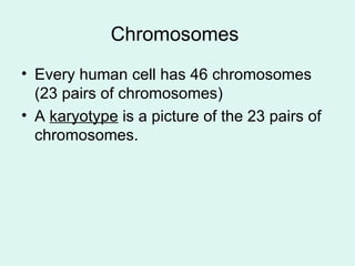Module 10 human heredity | PPT | Eye and Vision Conditions | Diseases ...