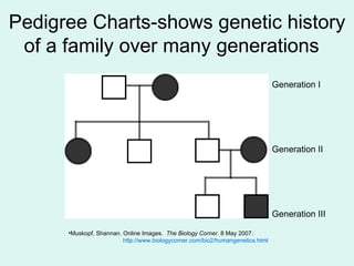 Module 10 human heredity | PPT | Eye and Vision Conditions | Diseases and Conditions